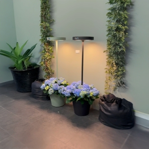 Zafferano Poldina Reverso Solar L RF floor lamp | Diffusione Luce